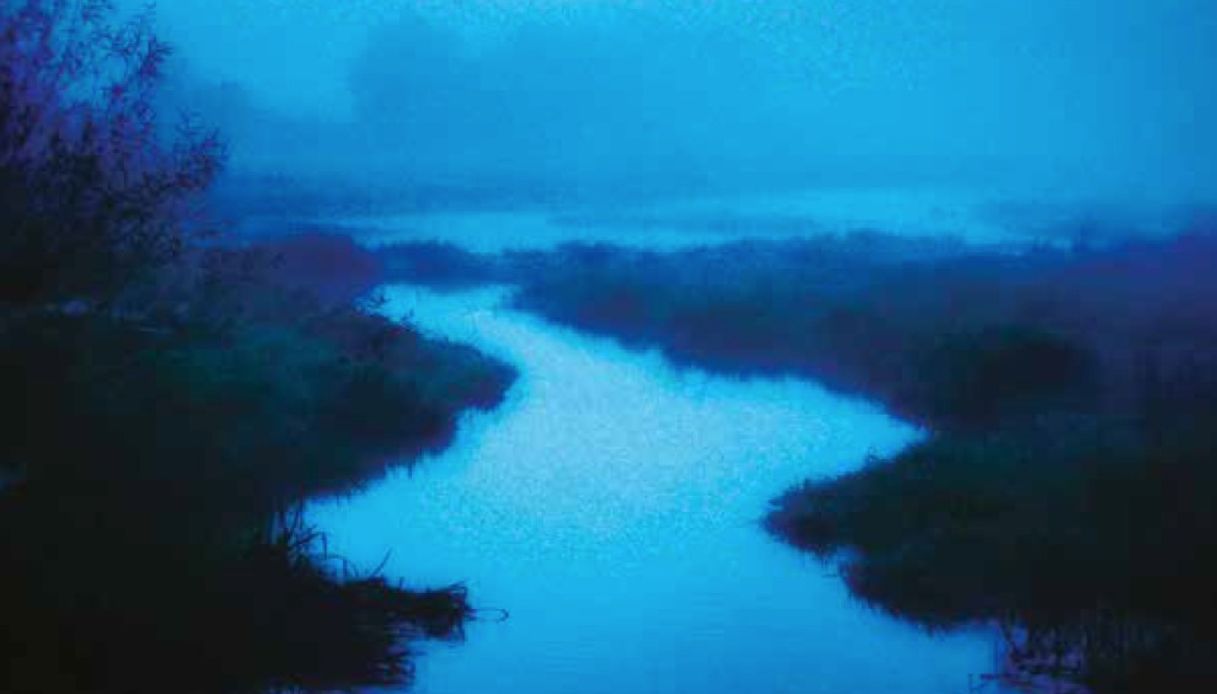 “In quel paese di donne si affonda nella palude”